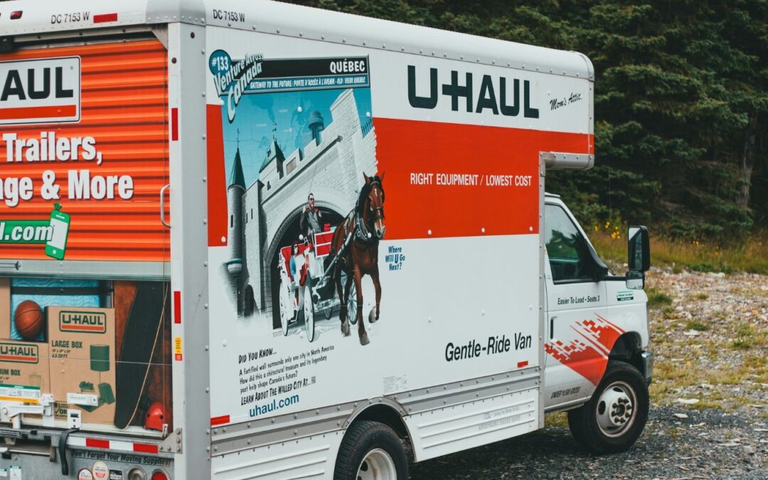 Minnesota sees positive net domestic migration for first time since ...